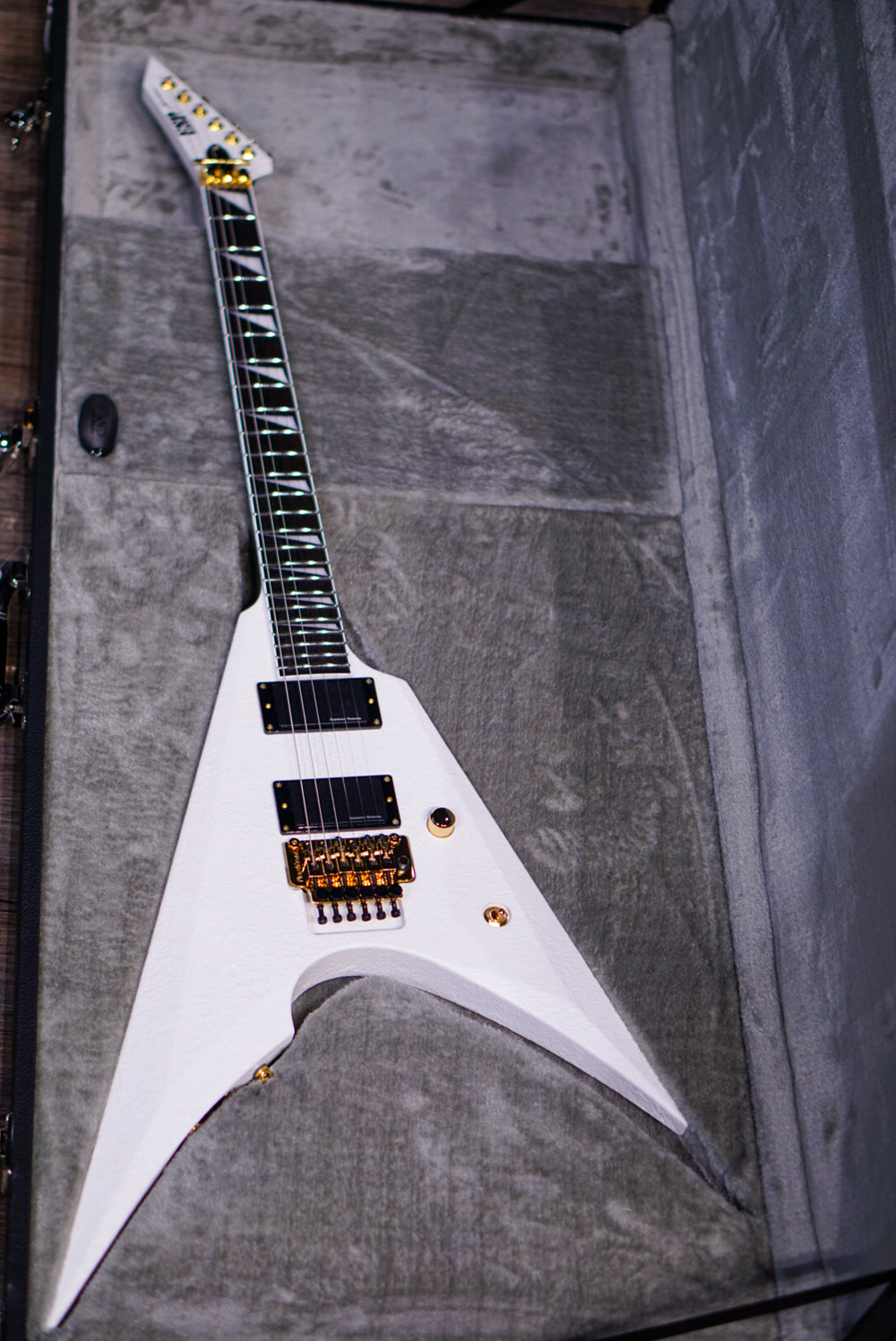 ESP