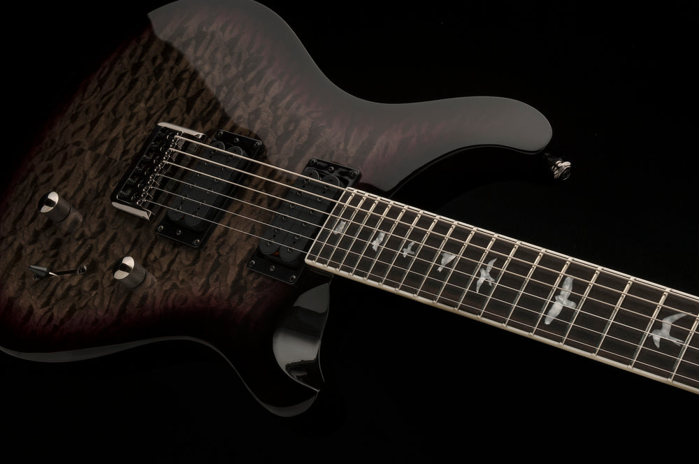 PRS SE Mark Holcomb - Holcomb Burst 6 strings